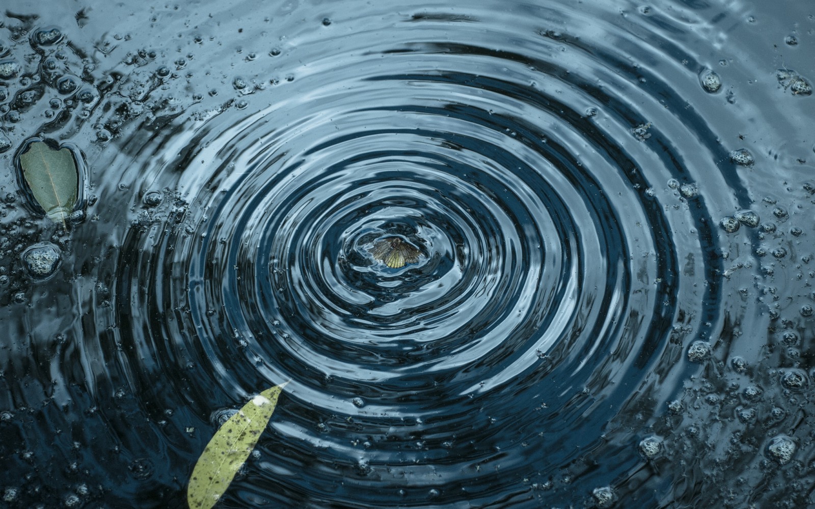 The ripple effect of health and happiness – Happy Guide